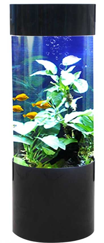 Column Aquariums – Online Aquariums