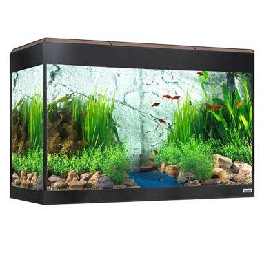 Fluval Roma 125 Aquarium – Online Aquariums